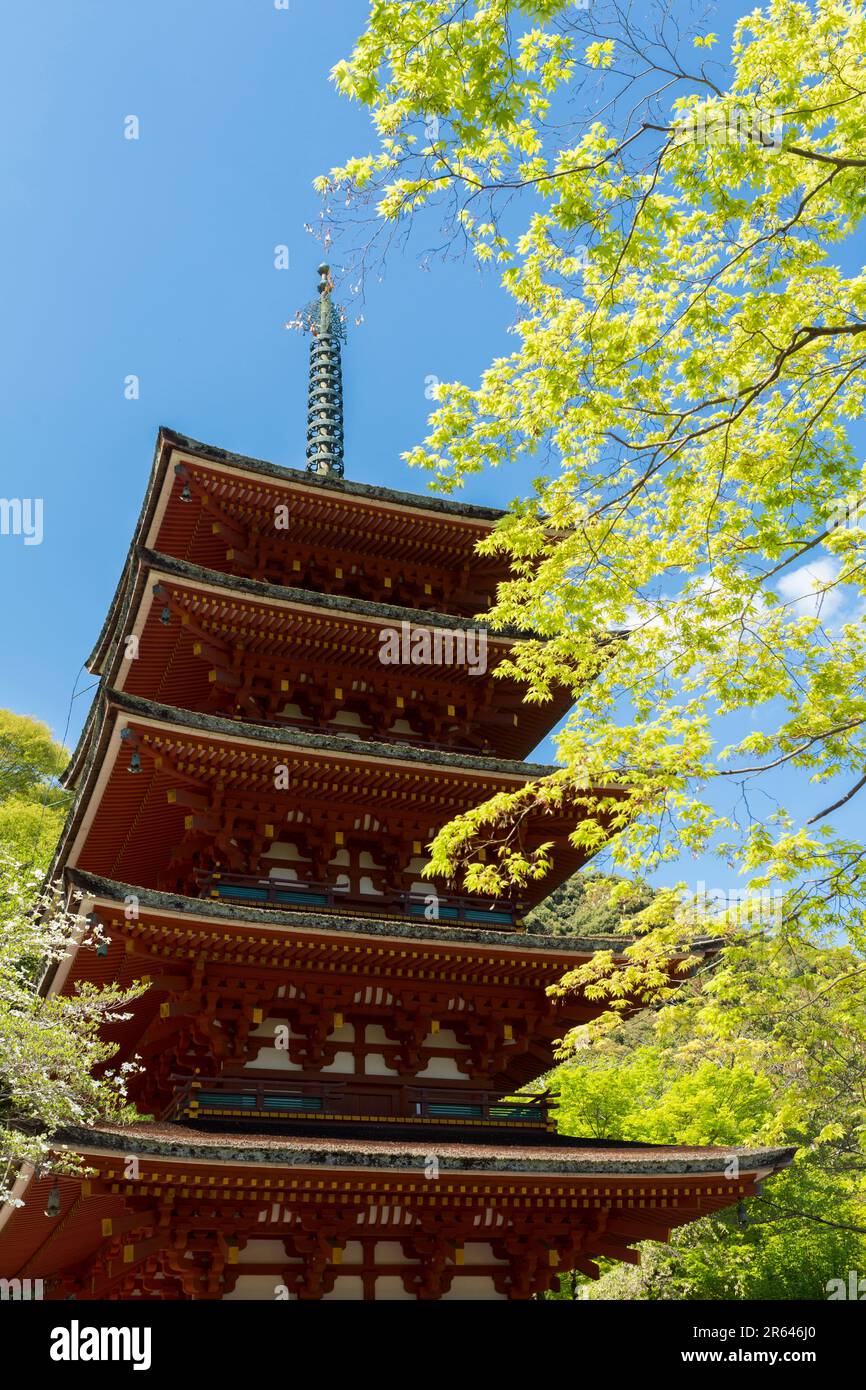Five-storied pagoda of Haseji Temple Stock Photo - Alamy