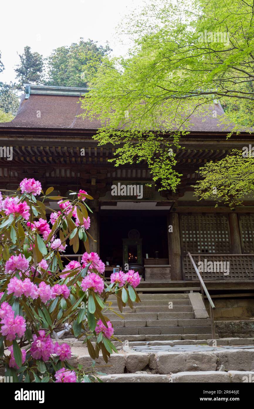 Muro cultural hi-res stock photography and images - Alamy