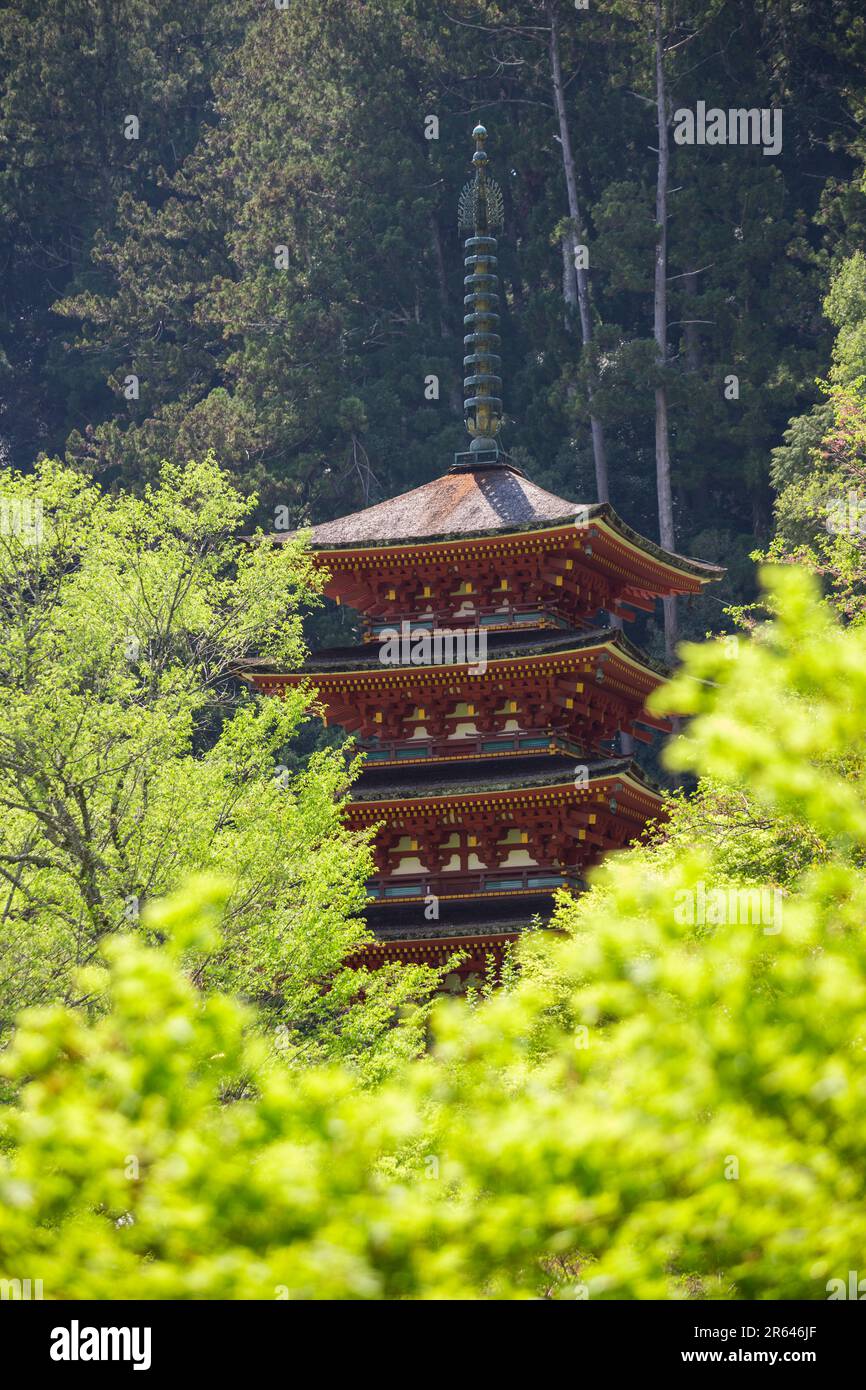 Haseji temple hi-res stock photography and images - Alamy