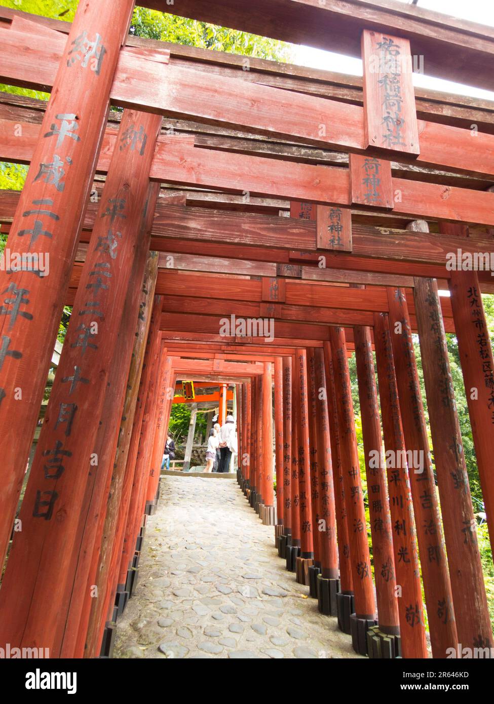 Torii gate of Yutoku Inari Shrine Stock Photo - Alamy