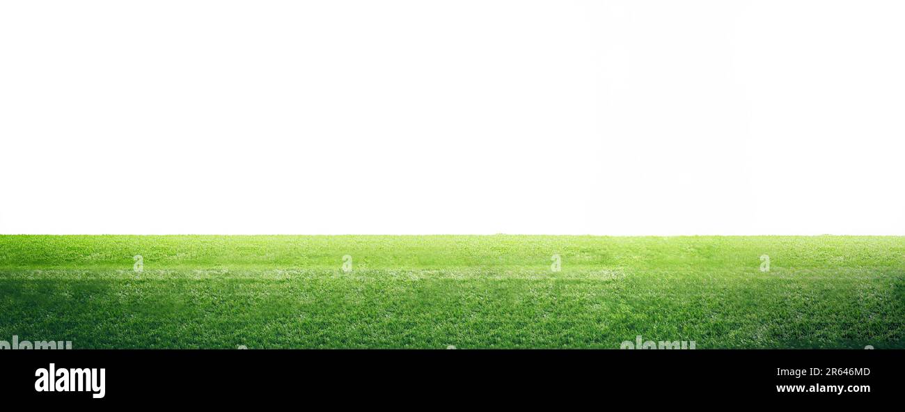 Green grass isolated on white background, copy space. Soccer field lawn ...
