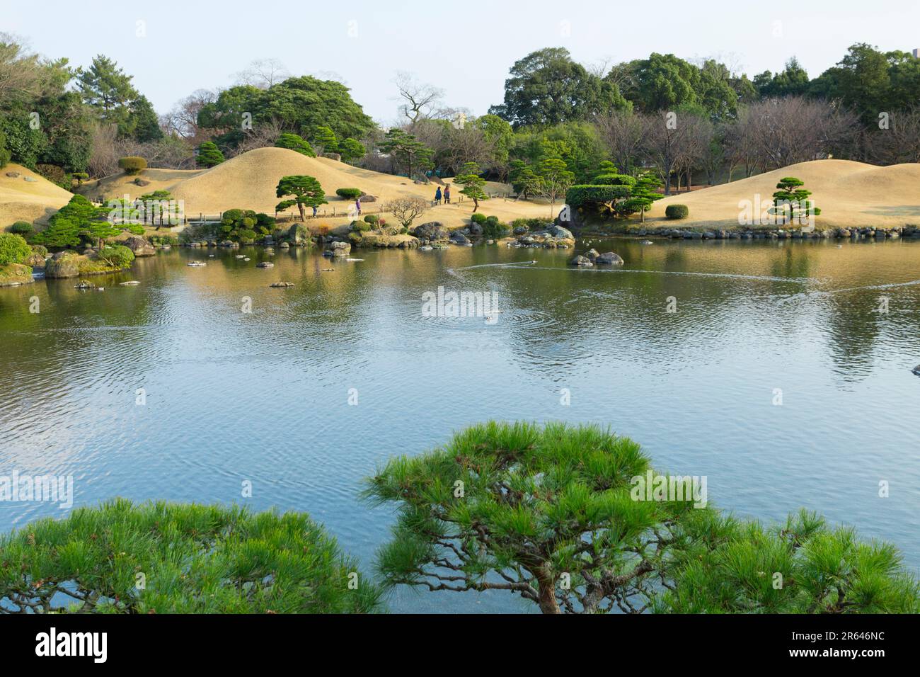 Spring-fed pond in Suizenji Park Stock Photo - Alamy