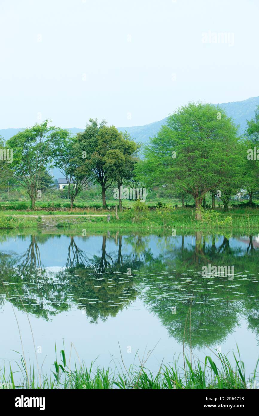 Shore of Lake Biwa Stock Photo - Alamy