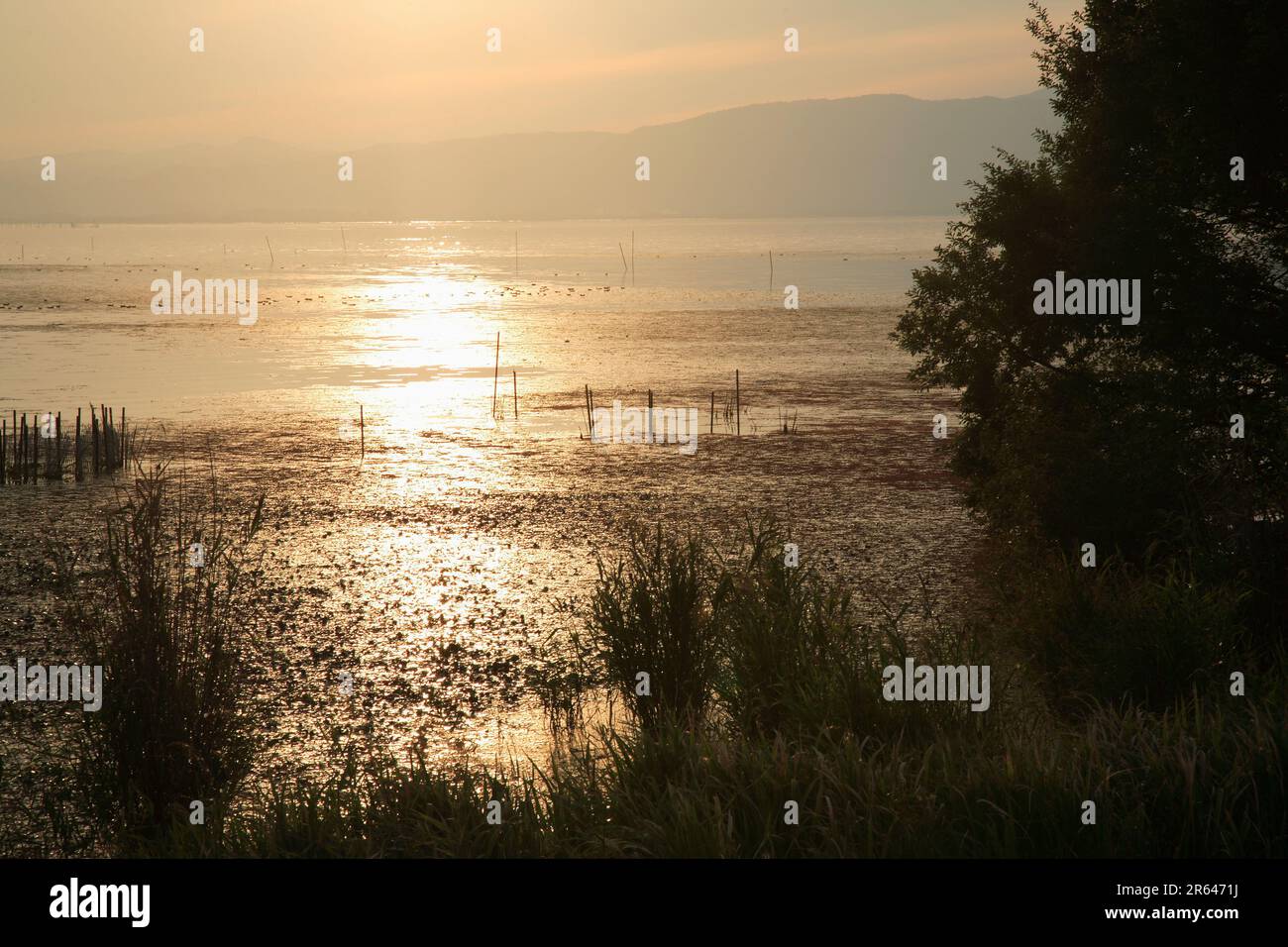 Lake biwa nagahama hi-res stock photography and images - Alamy