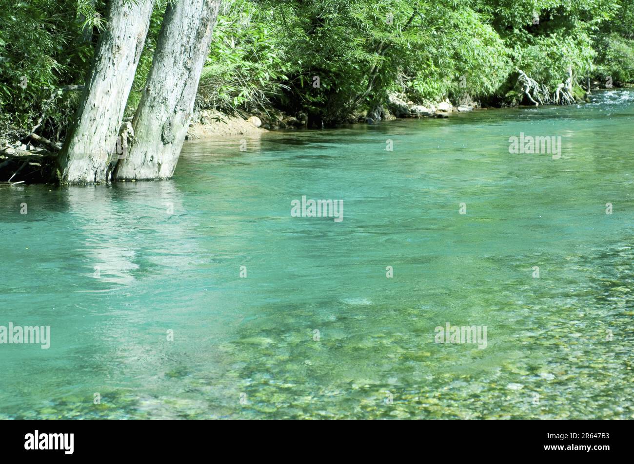 Clear stream in Kamikochi Stock Photo - Alamy
