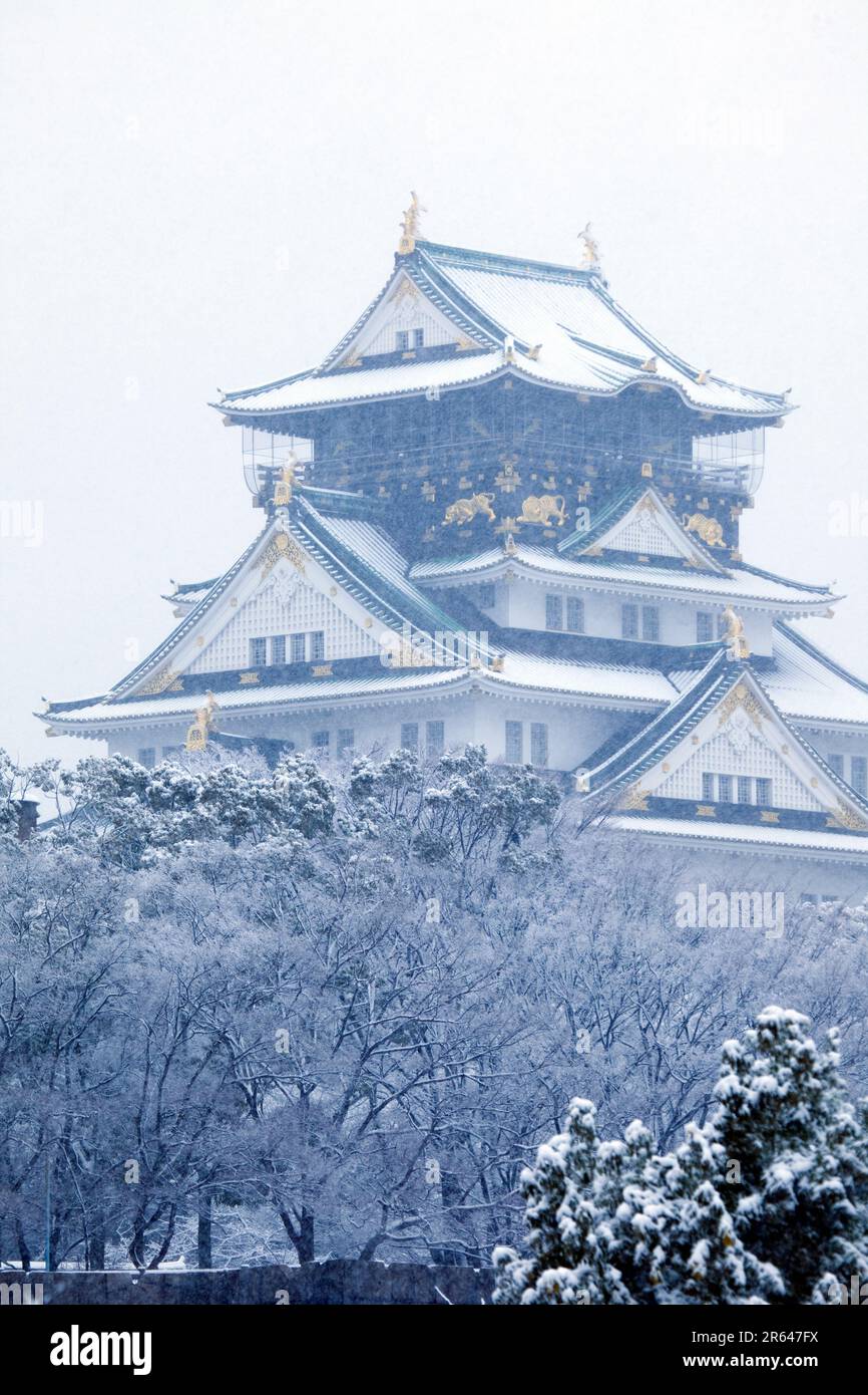 Osaka Castle and snow Stock Photo - Alamy