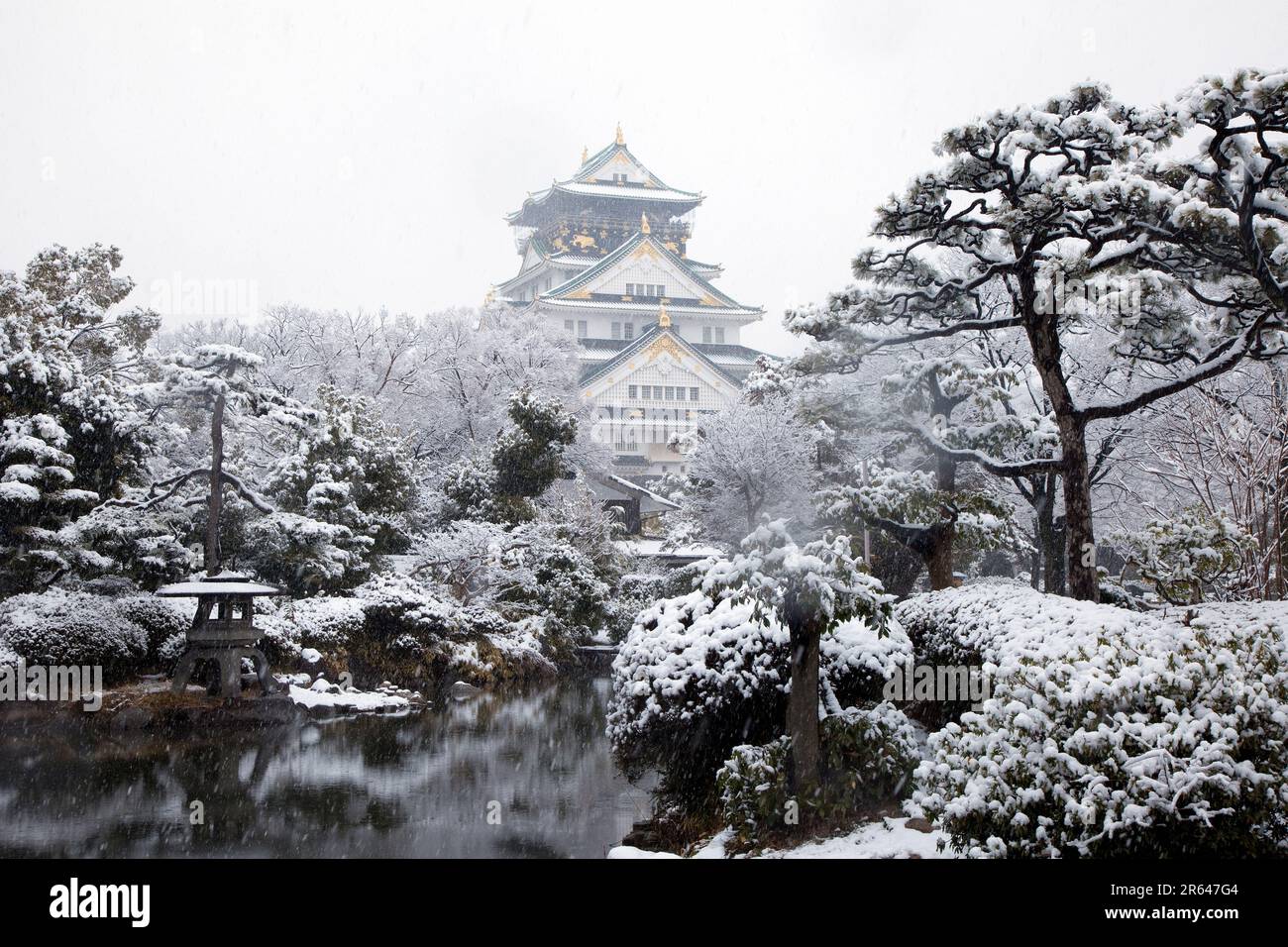 Osaka forest hi-res stock photography and images - Alamy
