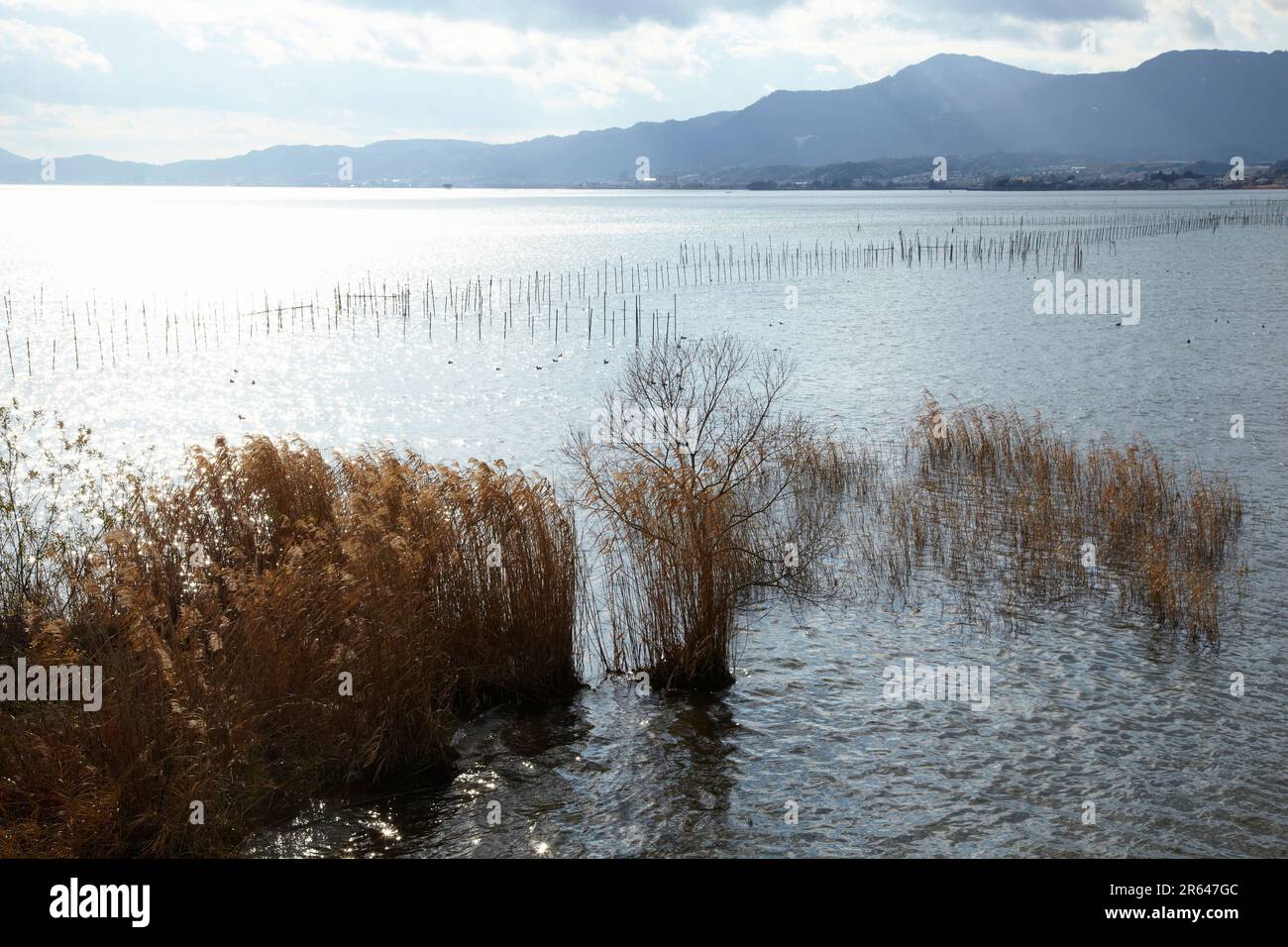 Shore of Lake Biwa Stock Photo - Alamy