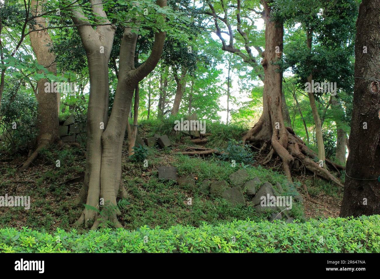 Mount suribachi hi-res stock photography and images - Alamy