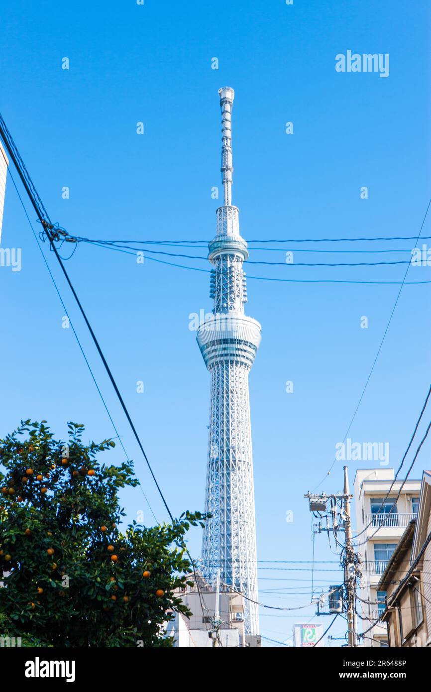 Tokyo Sky Tree Stock Photo - Alamy