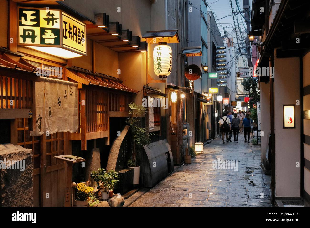 Night view of Hozenji-yokocho Stock Photo - Alamy