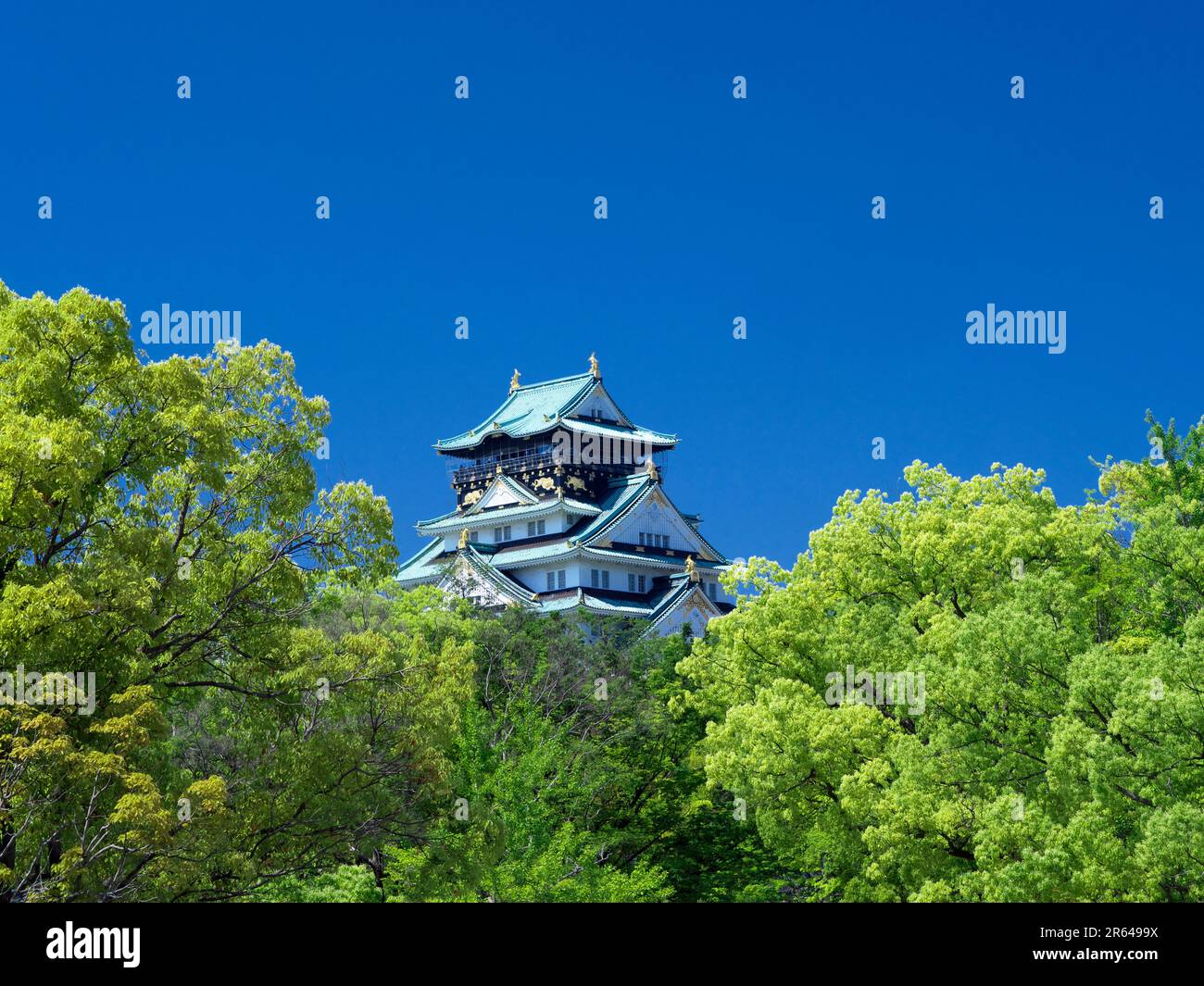 Osaka Castle in fresh green Stock Photo - Alamy