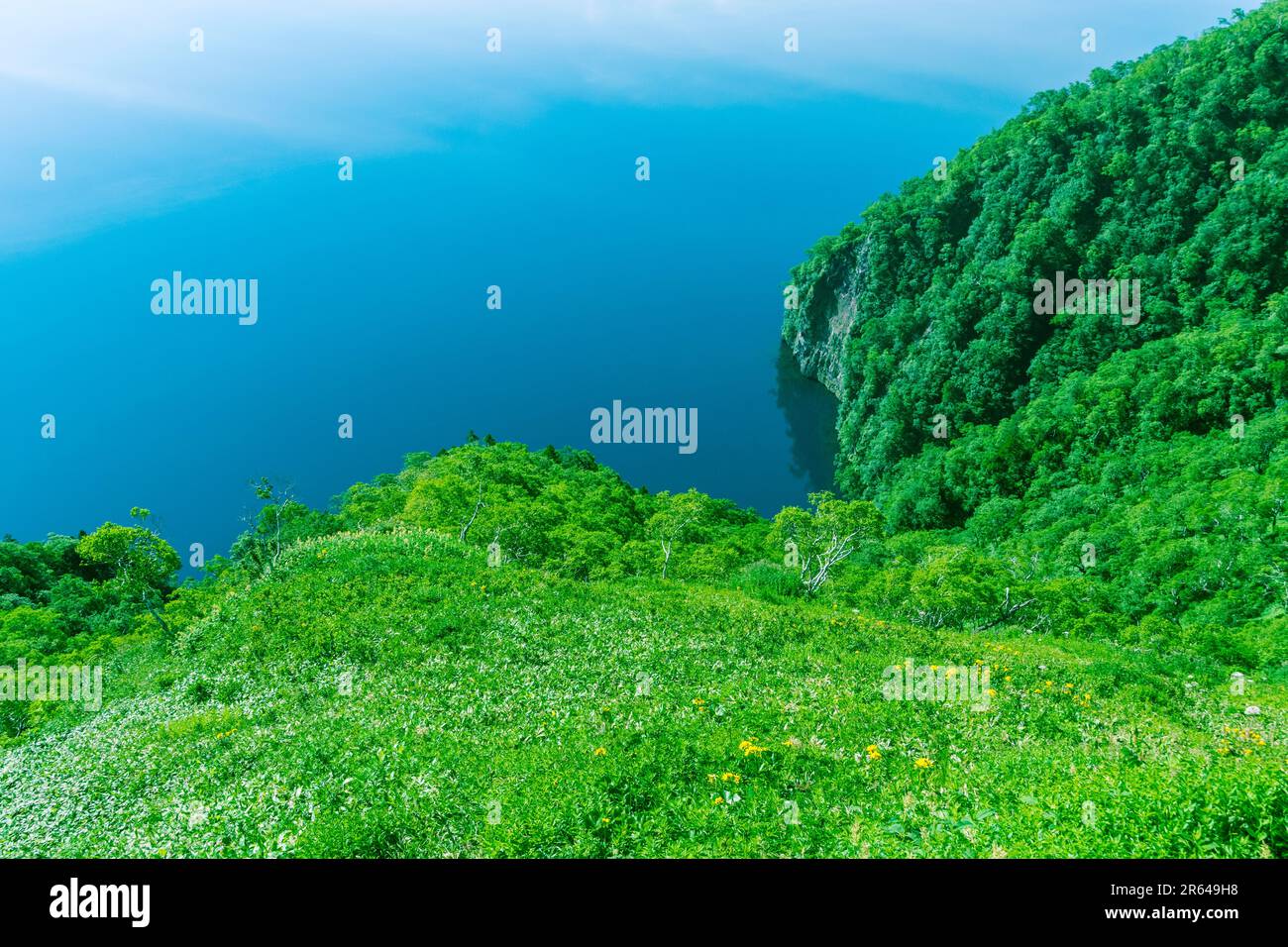 Lake surface and green slope Stock Photo - Alamy