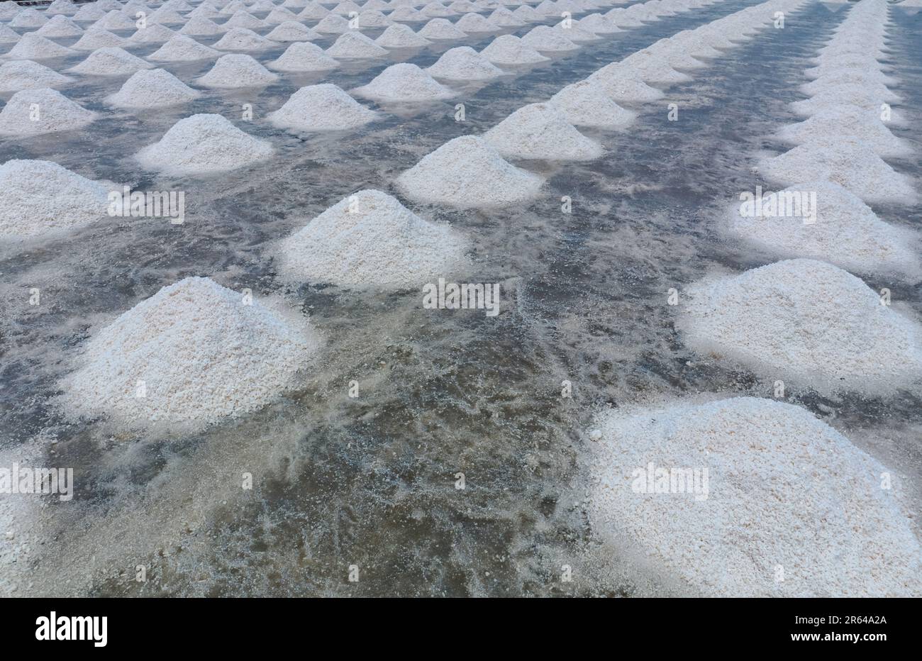 Sea salt farm. Pile of brine salt. Raw material of salt industrial ...