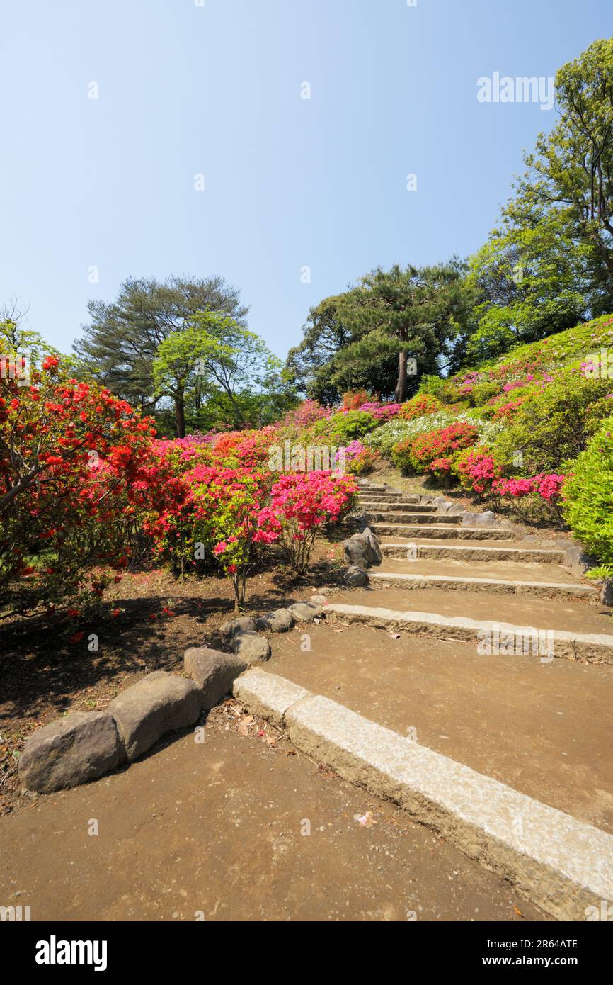 Fujishiro pass hi-res stock photography and images - Alamy