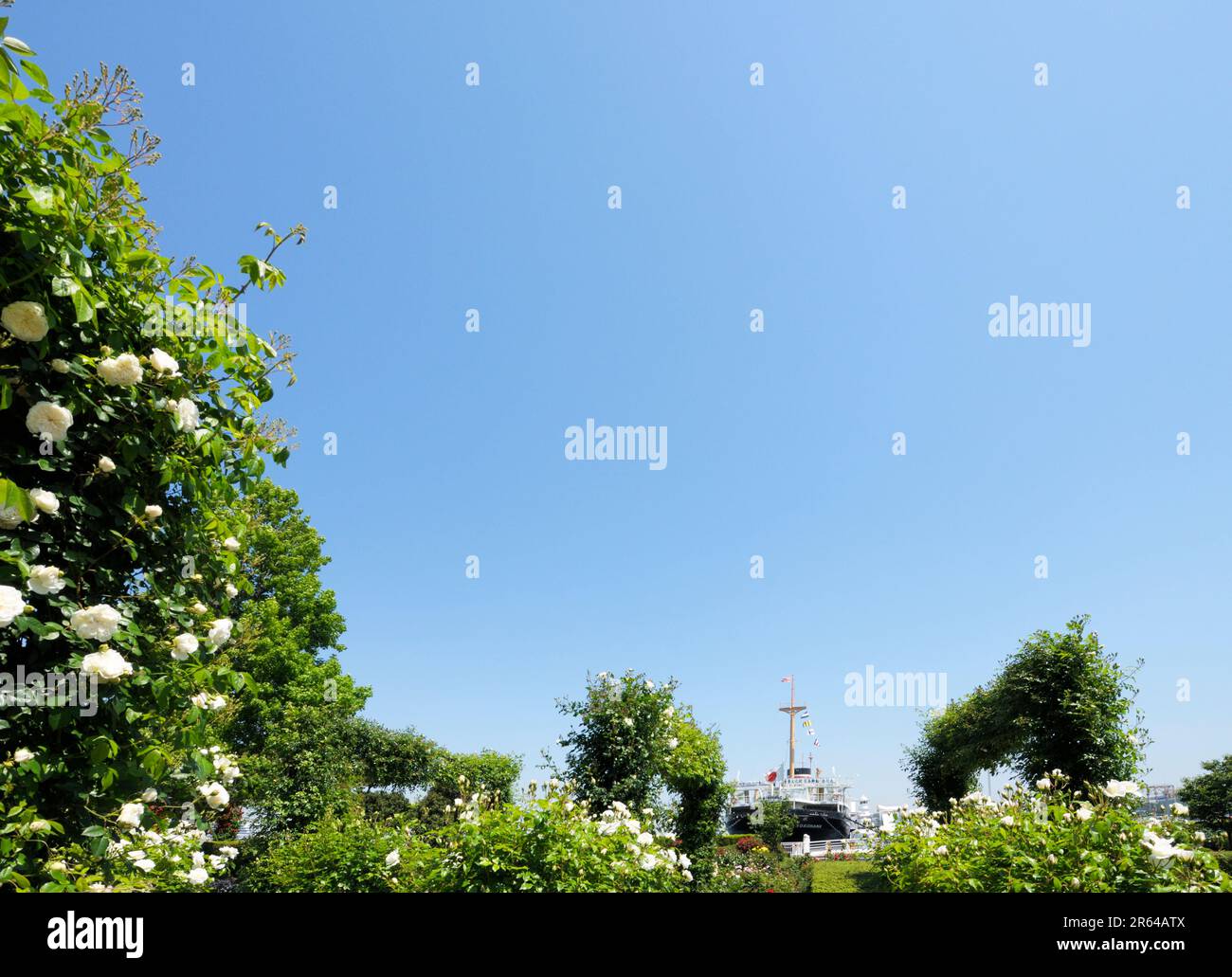 Yokohama rose garden hi-res stock photography and images - Alamy