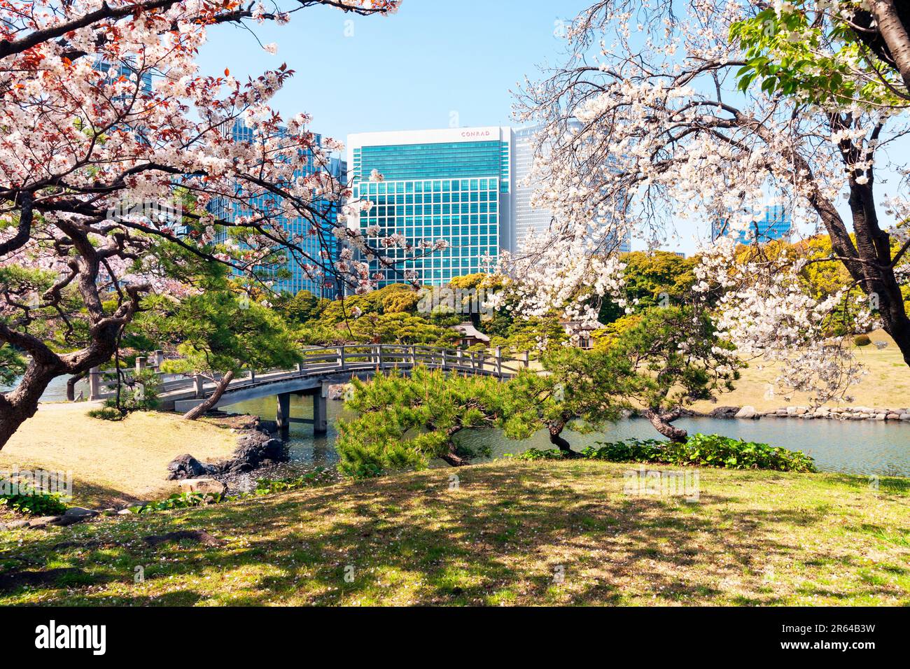 Hamarikyu Gardens with Cherry Blossoms in Bloom Stock Photo - Alamy