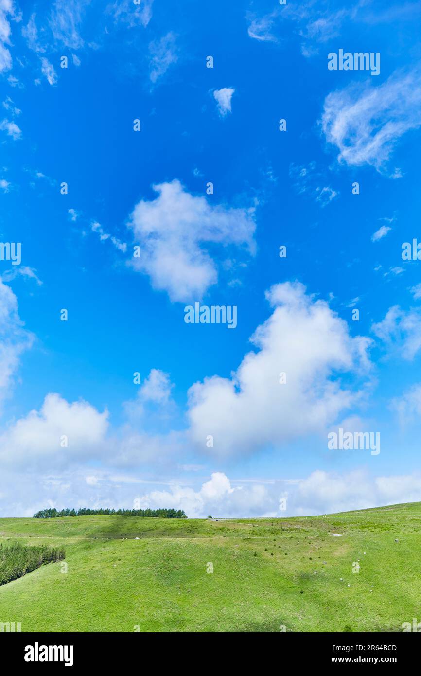 Wide meadow hi-res stock photography and images - Alamy