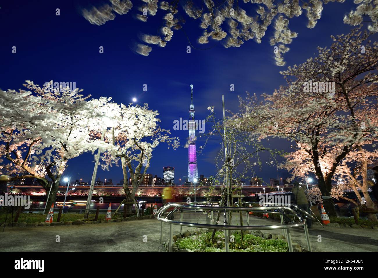 Night view of Tokyo Sky Tree from Sumida Park Stock Photo - Alamy