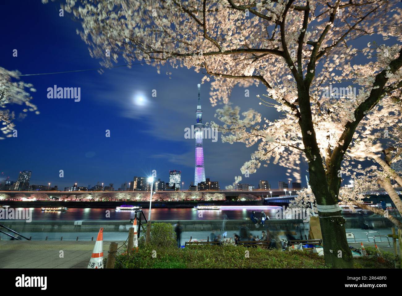 Night view of Tokyo Sky Tree from Sumida Park Stock Photo - Alamy