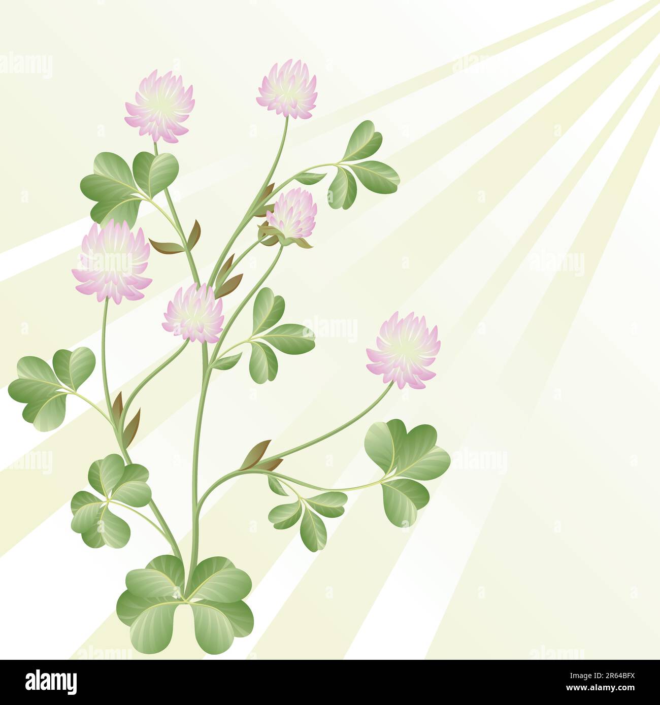 The light and sunny clover Stock Vector Image & Art - Alamy