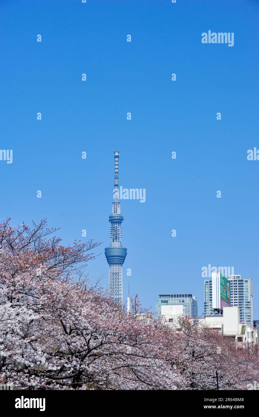 Sarue hi-res stock photography and images - Alamy