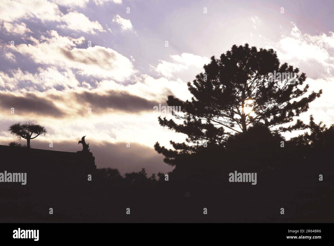 Evening view of Hirakawamon Gate, Imperial Palace Stock Photo - Alamy Evening view of Hirakawamon Gate, Imperial Palace Stock Photo - Alamy