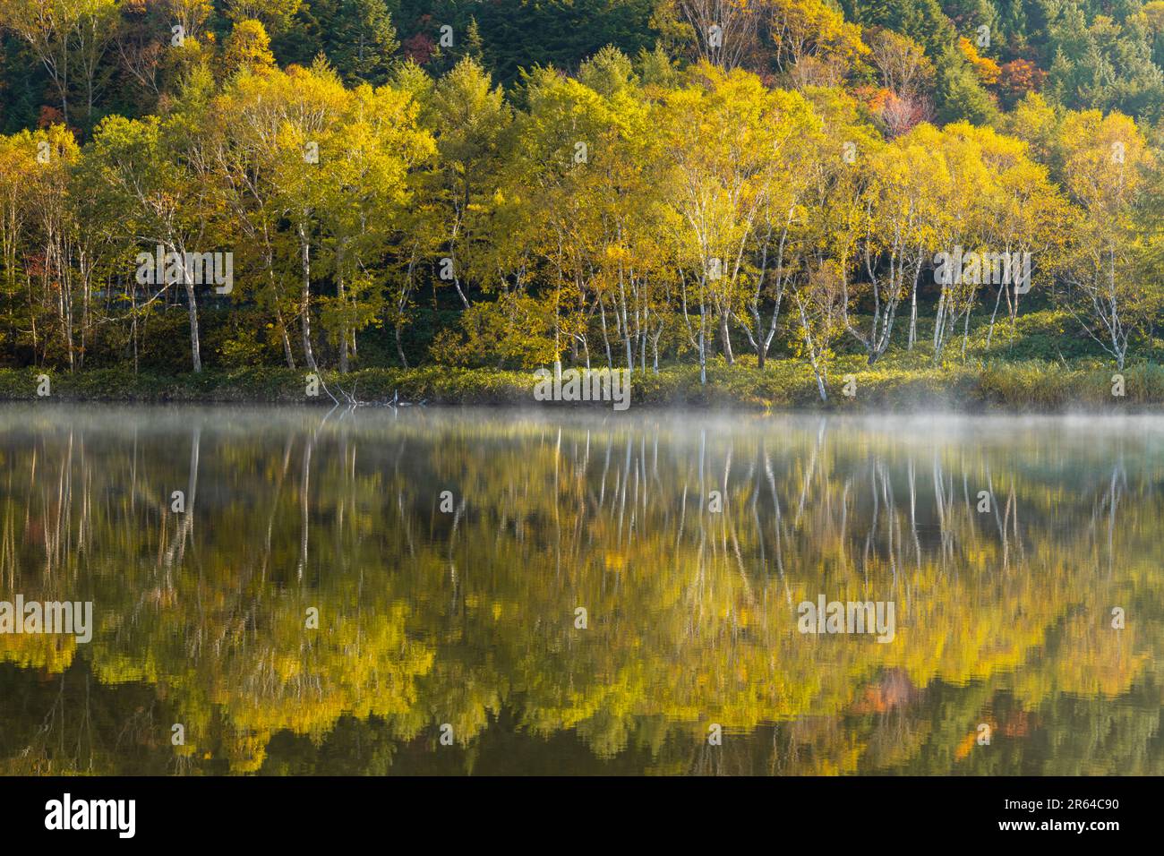 Kidoike hi-res stock photography and images - Alamy