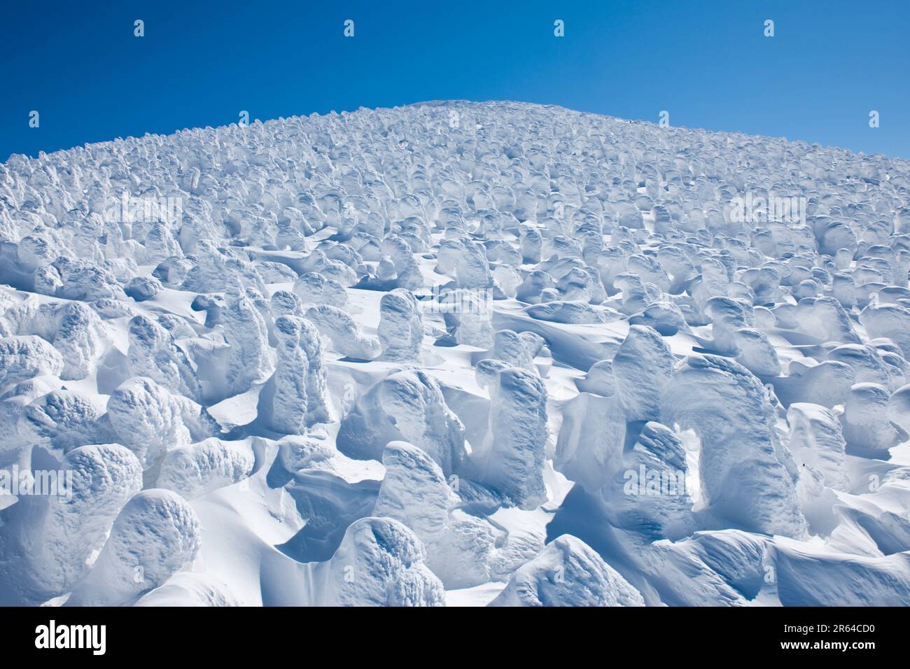 Yamagata Zao Juhyo Stock Photo - Alamy