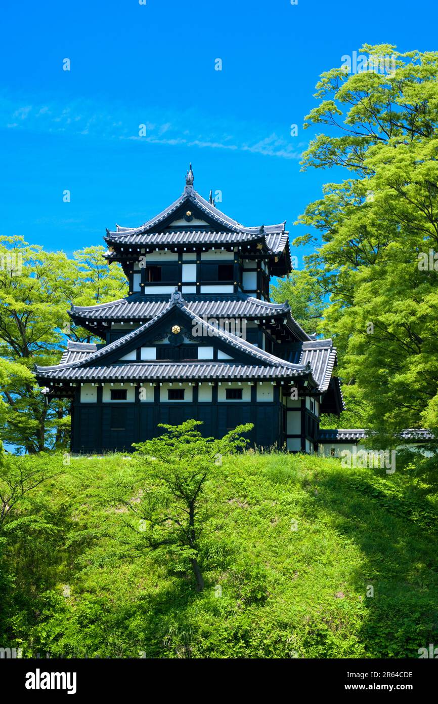 Takadajyo castle hi-res stock photography and images - Alamy