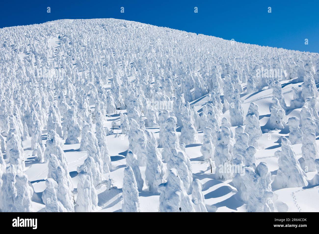Yamagata Zao Juhyo Stock Photo - Alamy