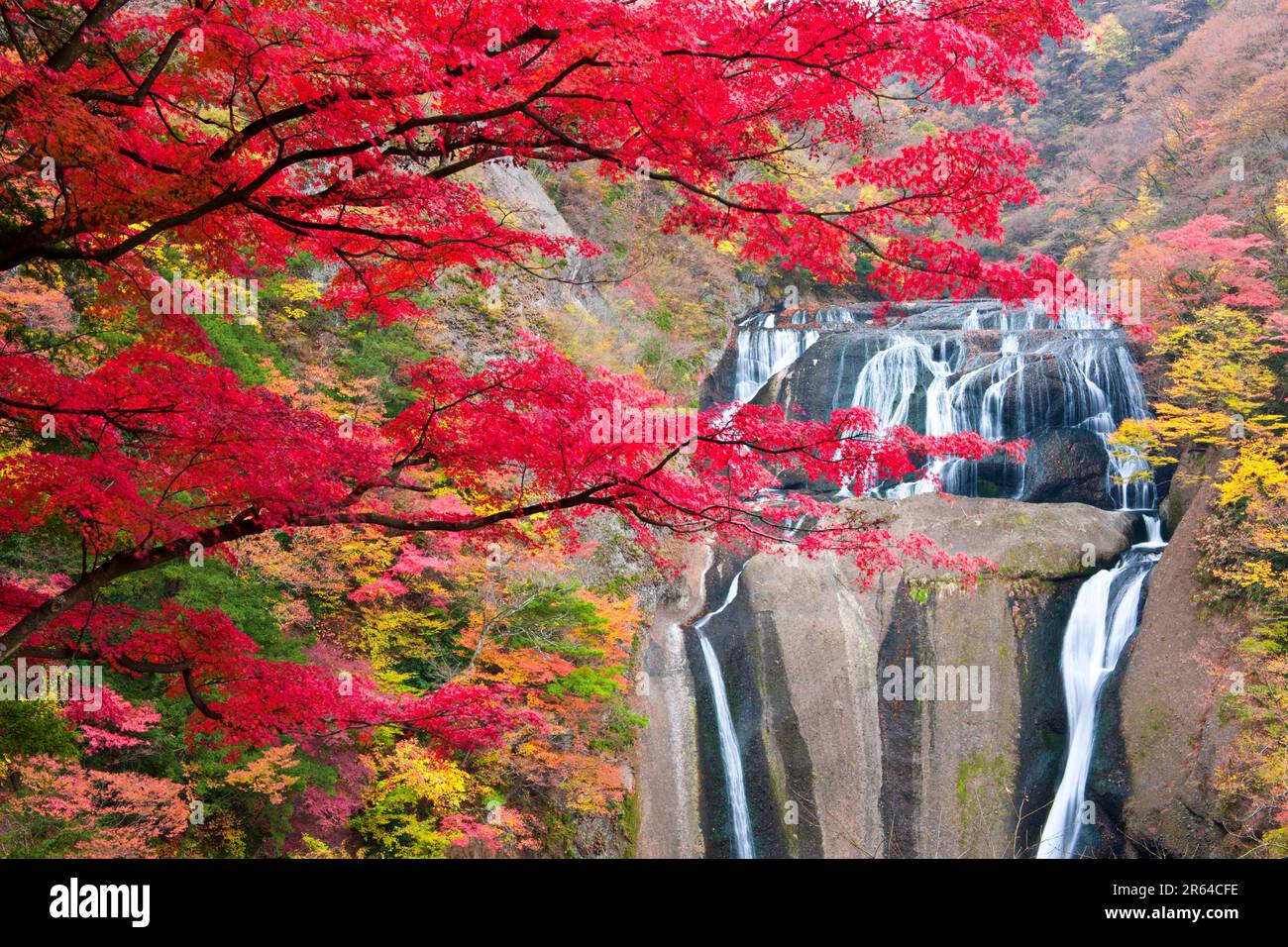 Autumn Leaves and Fukuroda Falls Stock Photo - Alamy