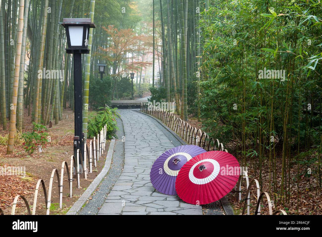 Bamboo forest path izu japan hi-res stock photography and images - Alamy