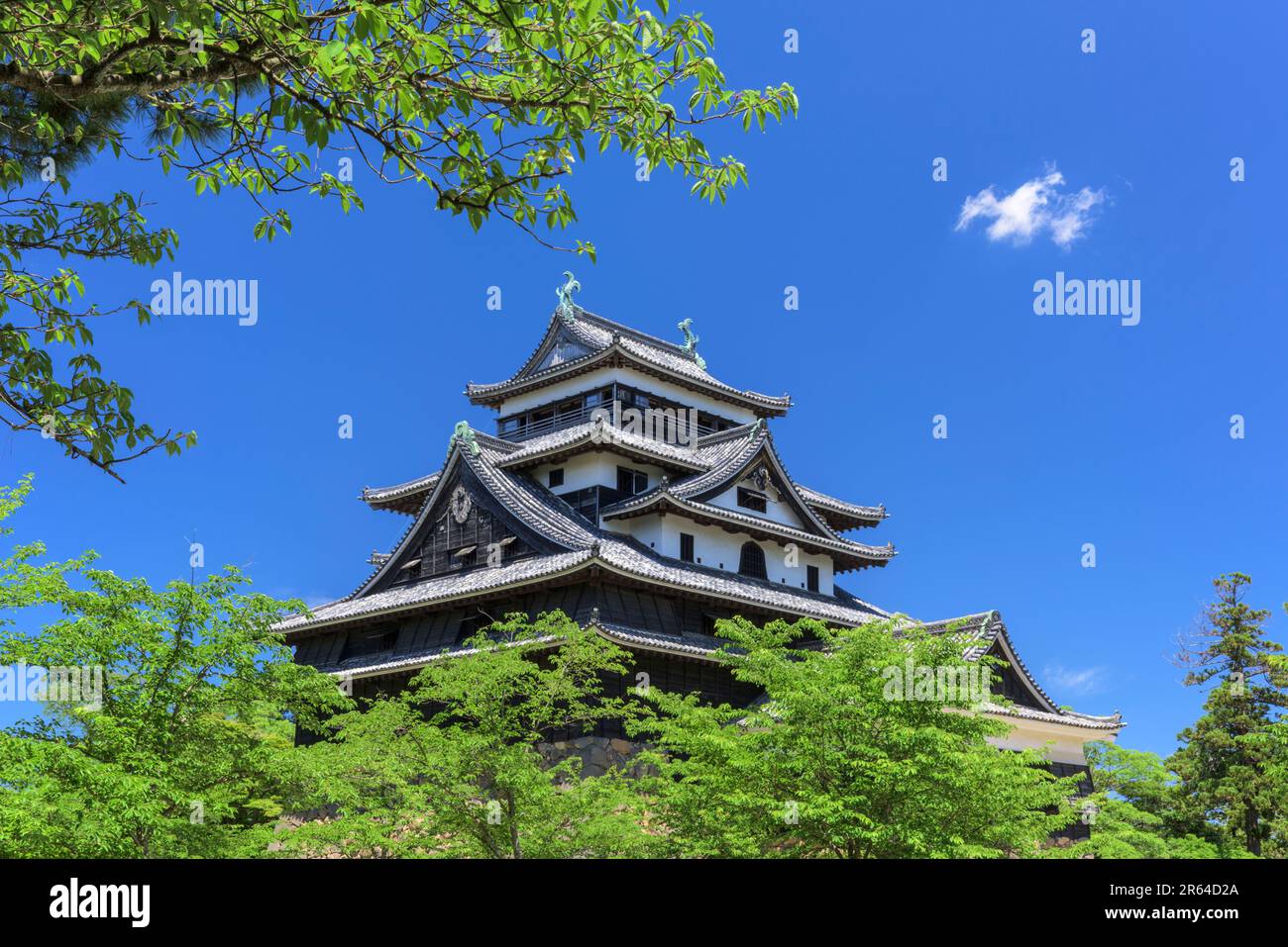 Japan sakura 100 best attractions hi-res stock photography and images ...
