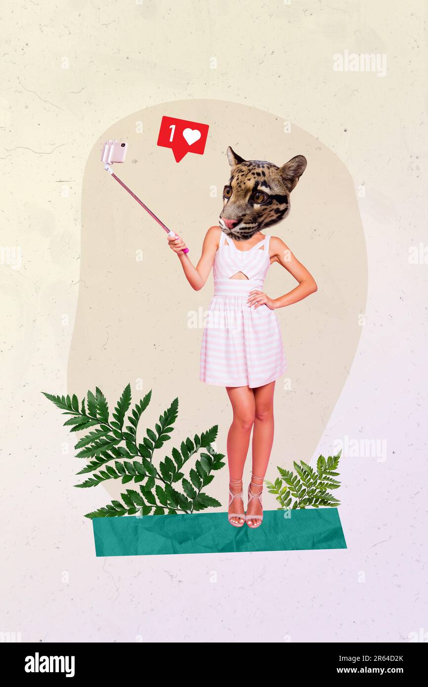 Poster banner collage of beautiful lady with wild cat face enjoy ...