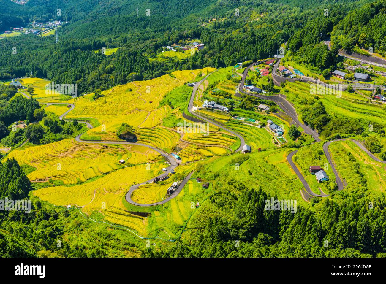 Maruyama rice terrace Stock Photo - Alamy
