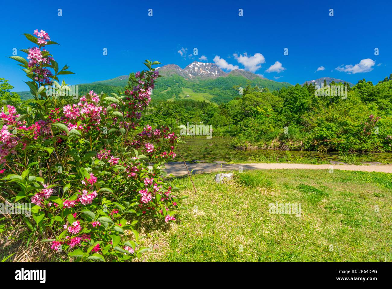 Imori pond and Mt.Myokosan Stock Photo - Alamy