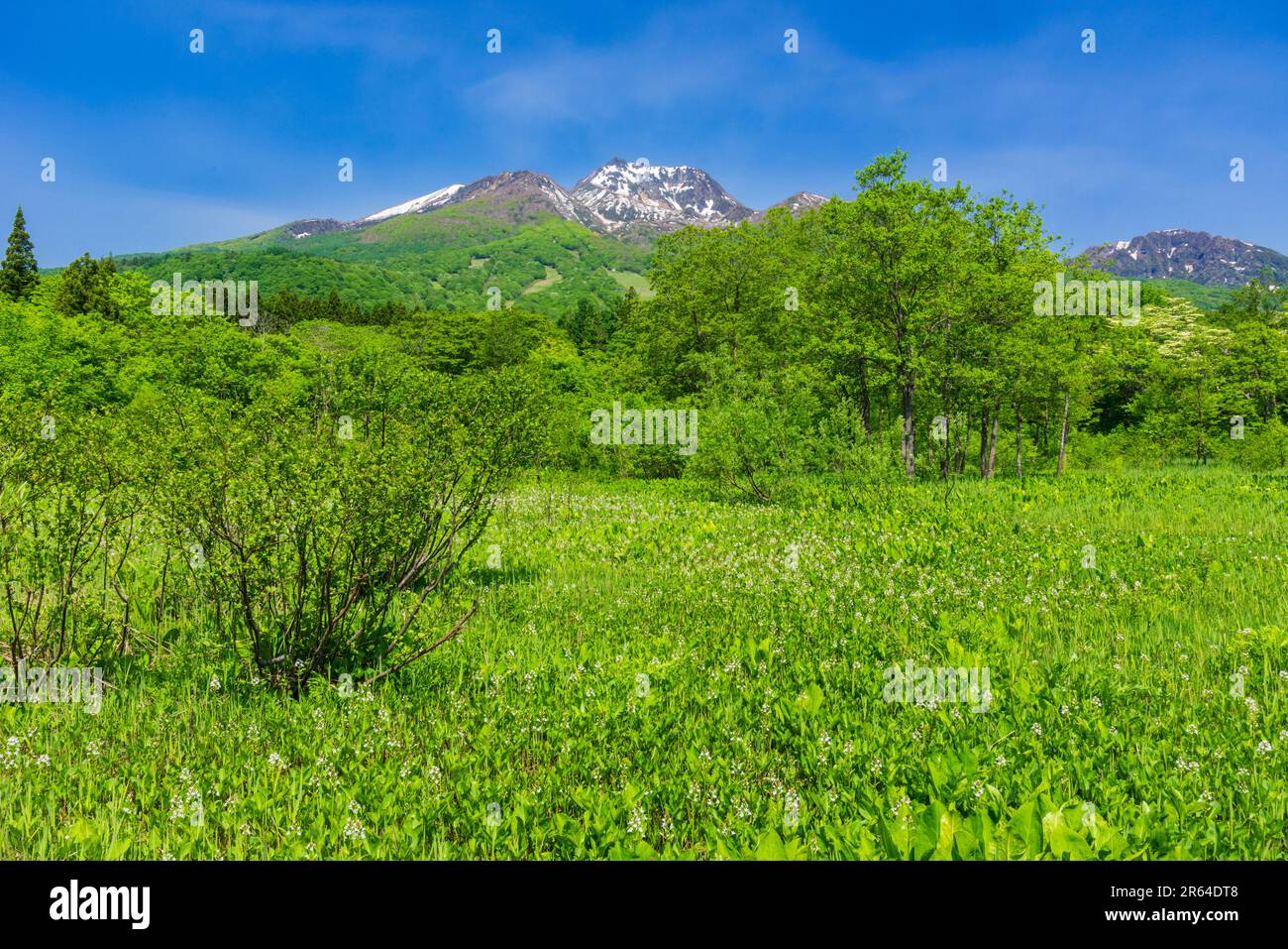 Myoko hi-res stock photography and images - Alamy