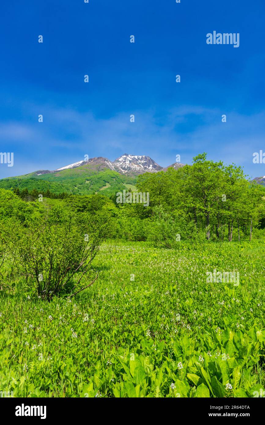 Mount may hi-res stock photography and images - Alamy