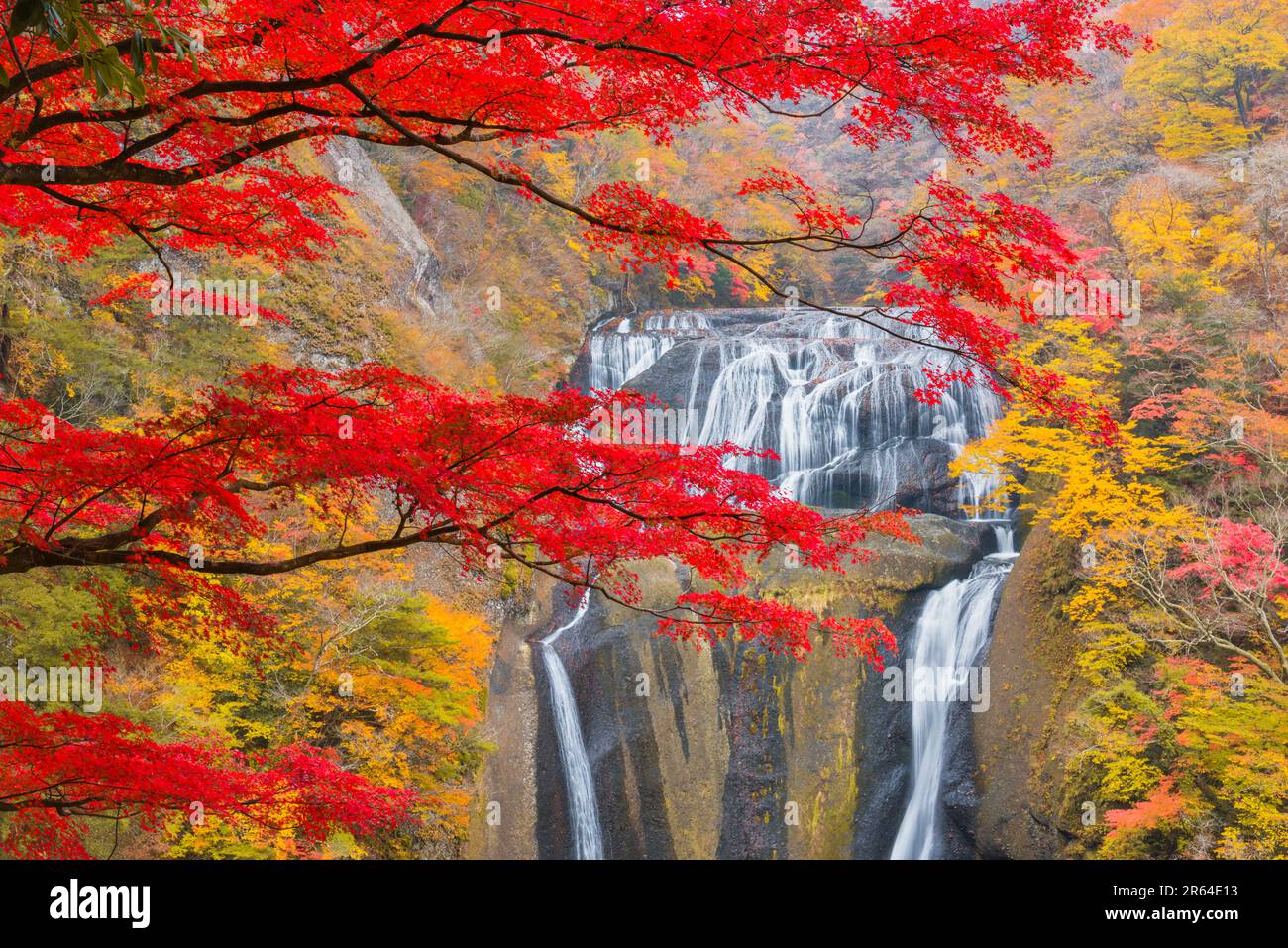 Autumn Leaves and Fukuroda Falls Stock Photo - Alamy