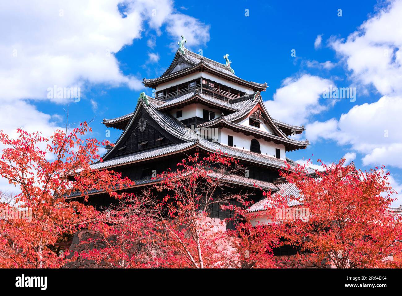 Fall foliage and Matsue Castle Stock Photo - Alamy