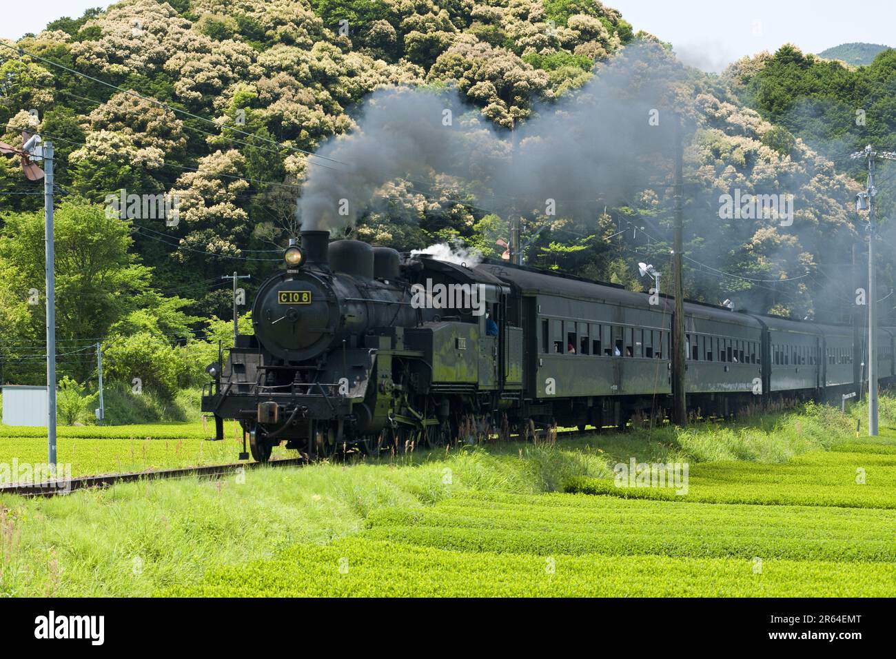 Oigawa hi-res stock photography and images - Alamy