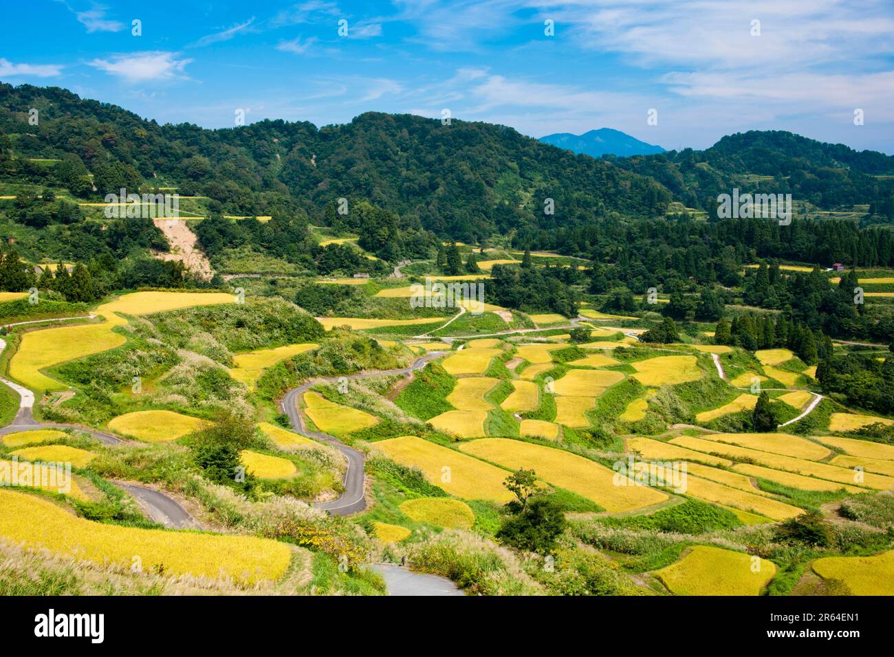 100 village election in japan hi-res stock photography and images - Alamy