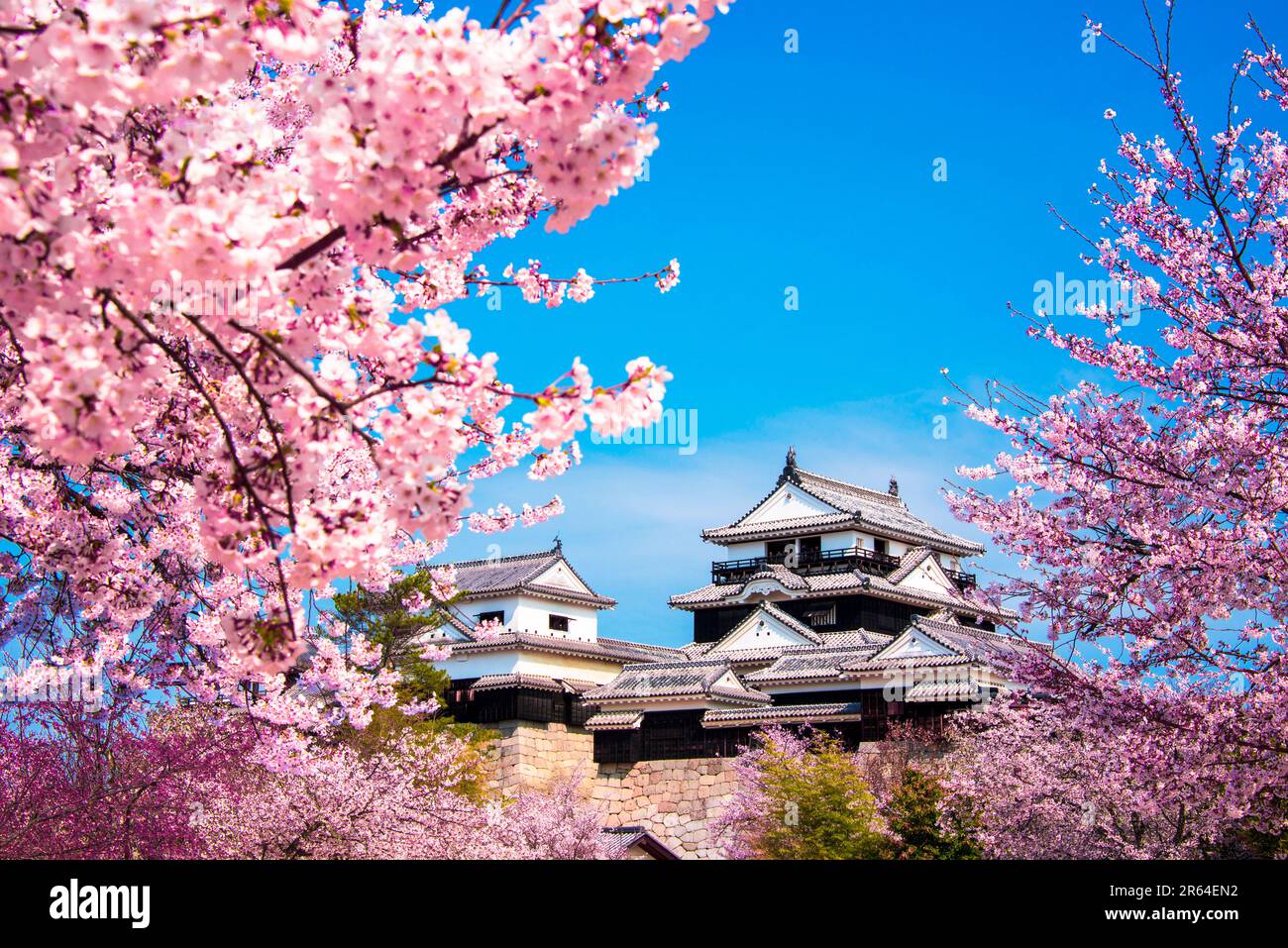Japan sakura 100 best attractions hi-res stock photography and images - Alamy