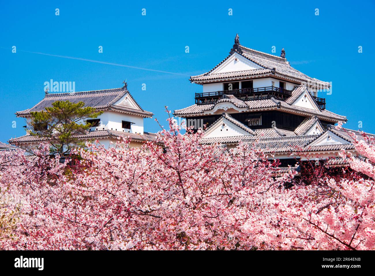 2012 sakura 100 best attractions hi-res stock photography and images ...