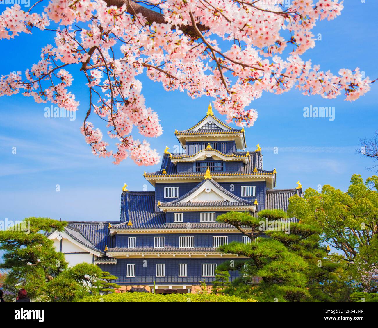 Okayama city cherry blossom hi-res stock photography and images - Alamy