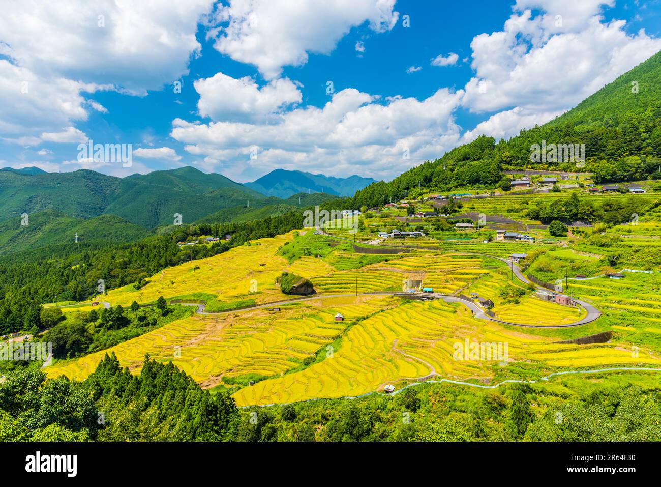 Maruyama rice terrace Stock Photo - Alamy