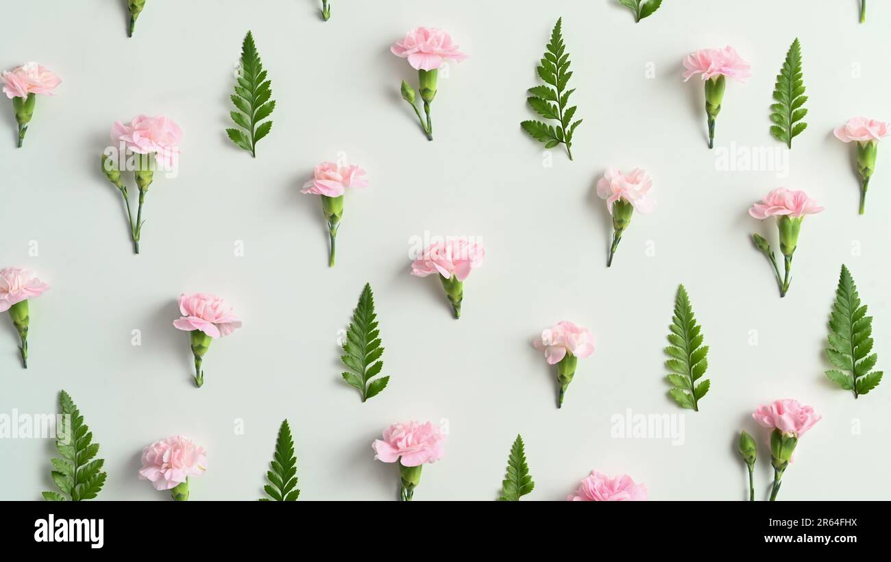 Pink carnation and fern leaves on white background. Spring floral ...