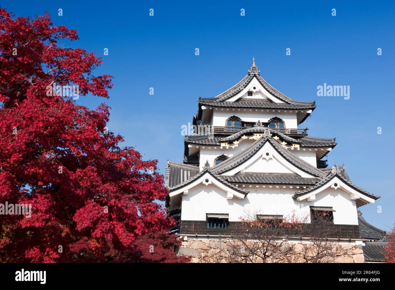 Fall foliage and the Hikone Castle Stock Photo - Alamy