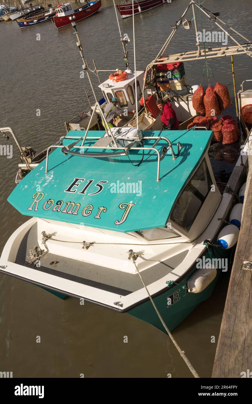 Fishing boat landing a catch of Whelks at Lyme Regis harbour Stock ...